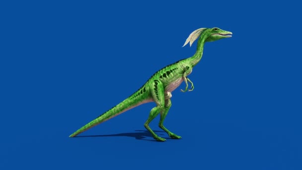 Compy Jurassic Dinosaur Attacks Blue Screen Side Rendering Animation ...