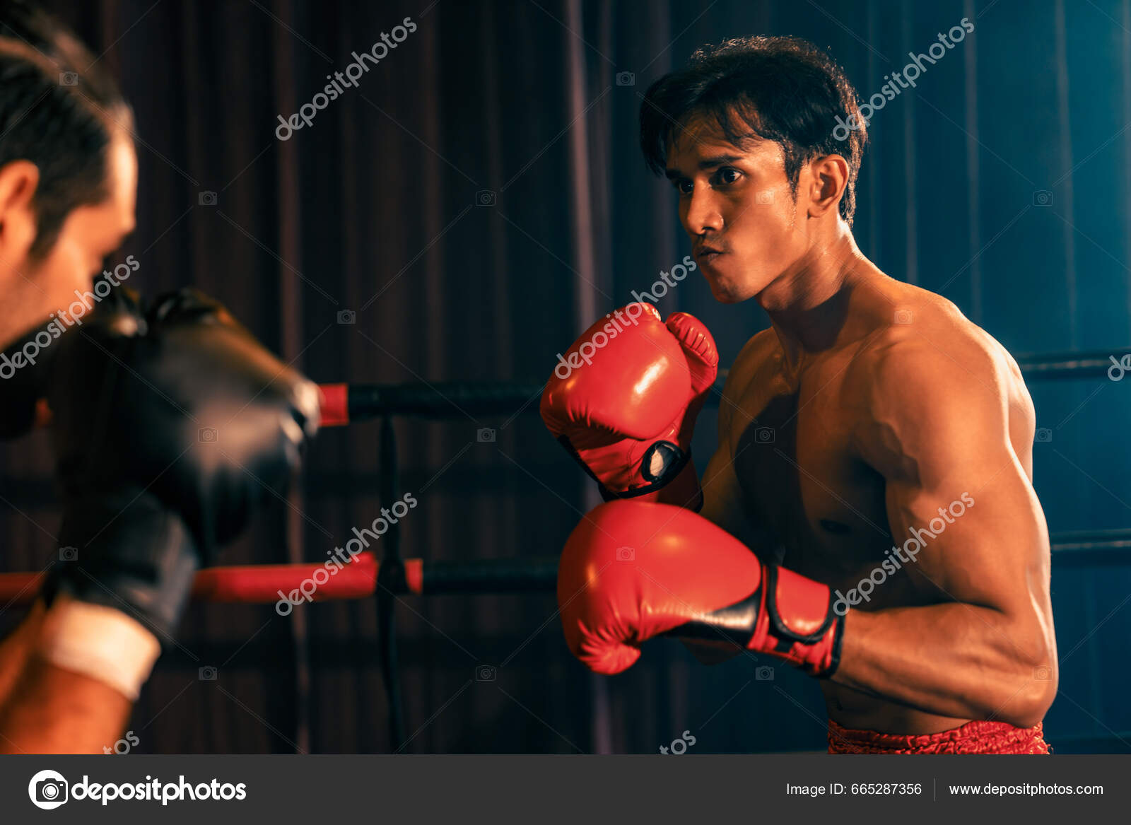 Asian Caucasian Muay Thai Boxer Unleash Power Fierce Boxing Match Stock ...